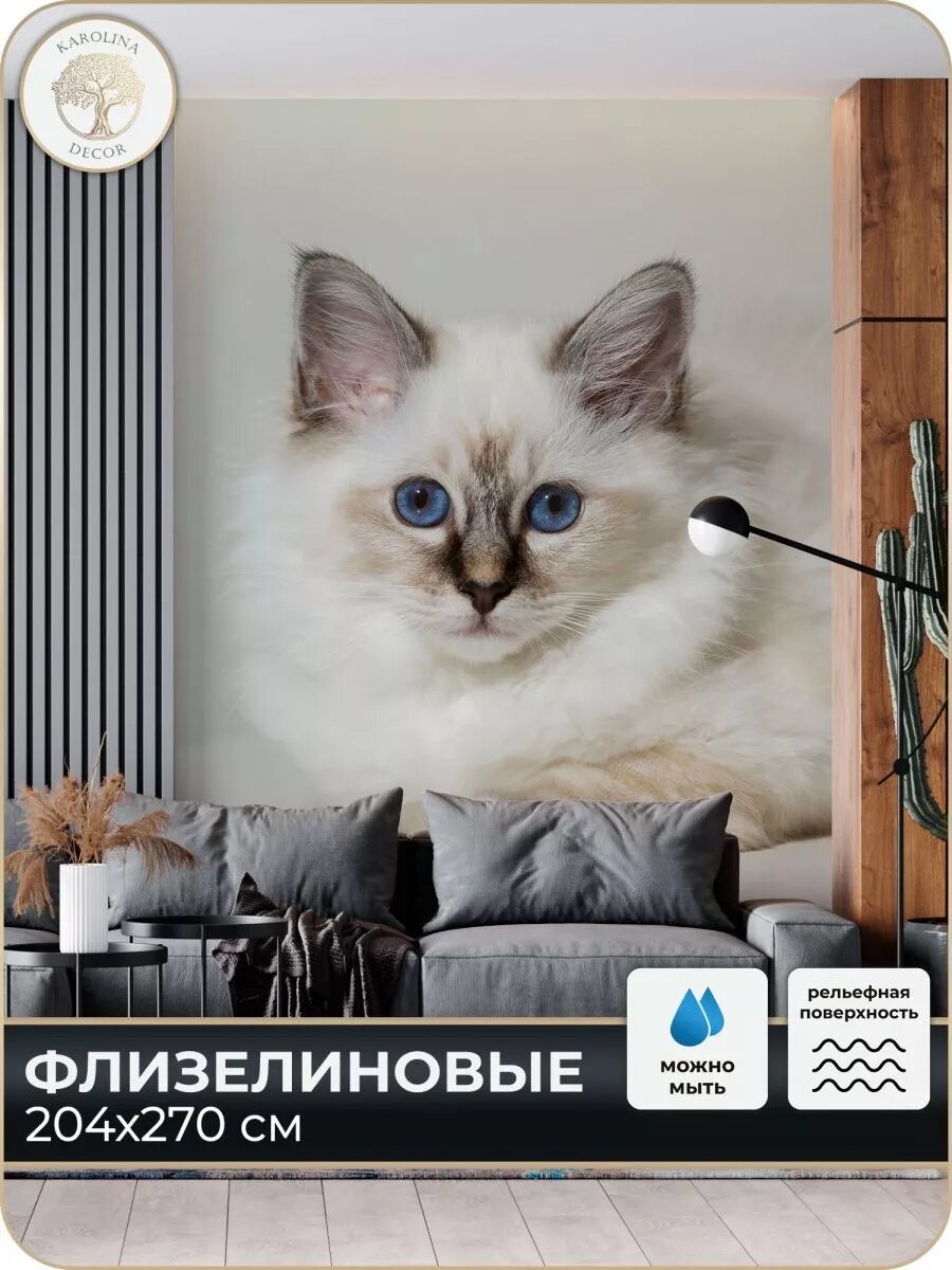 Фотообои Кот для зала в спальню в детскую 200х270