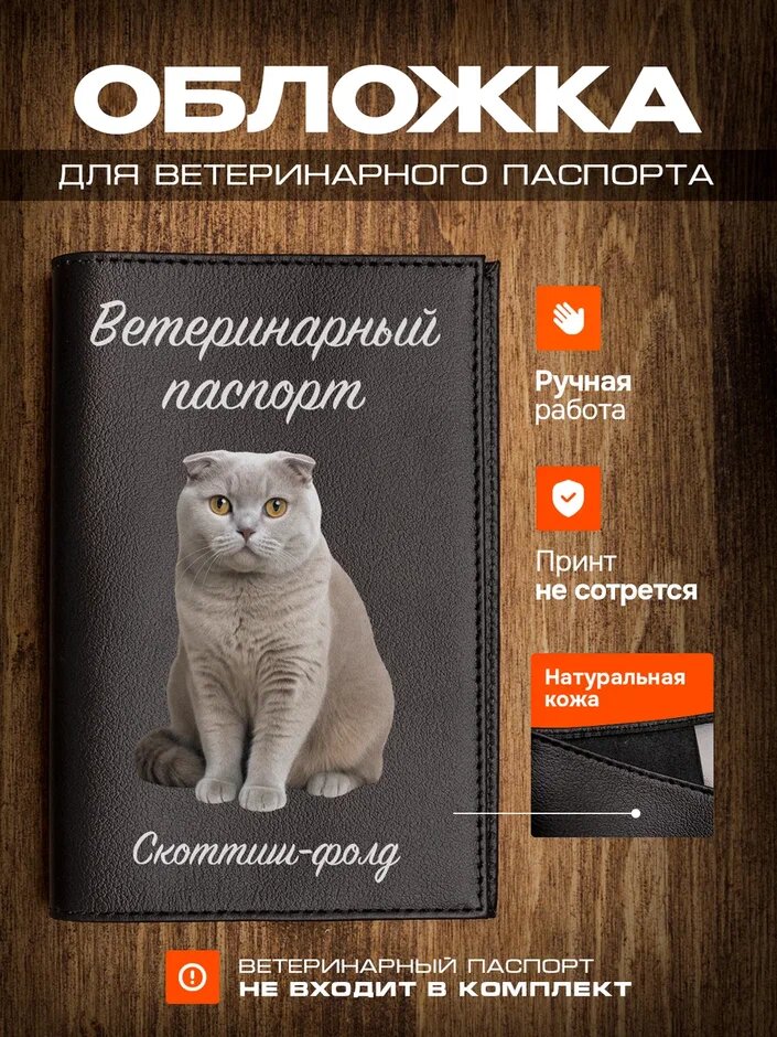 Обложка на ветеринарный паспорт для кошек с принтом Скоттиш-фолд
