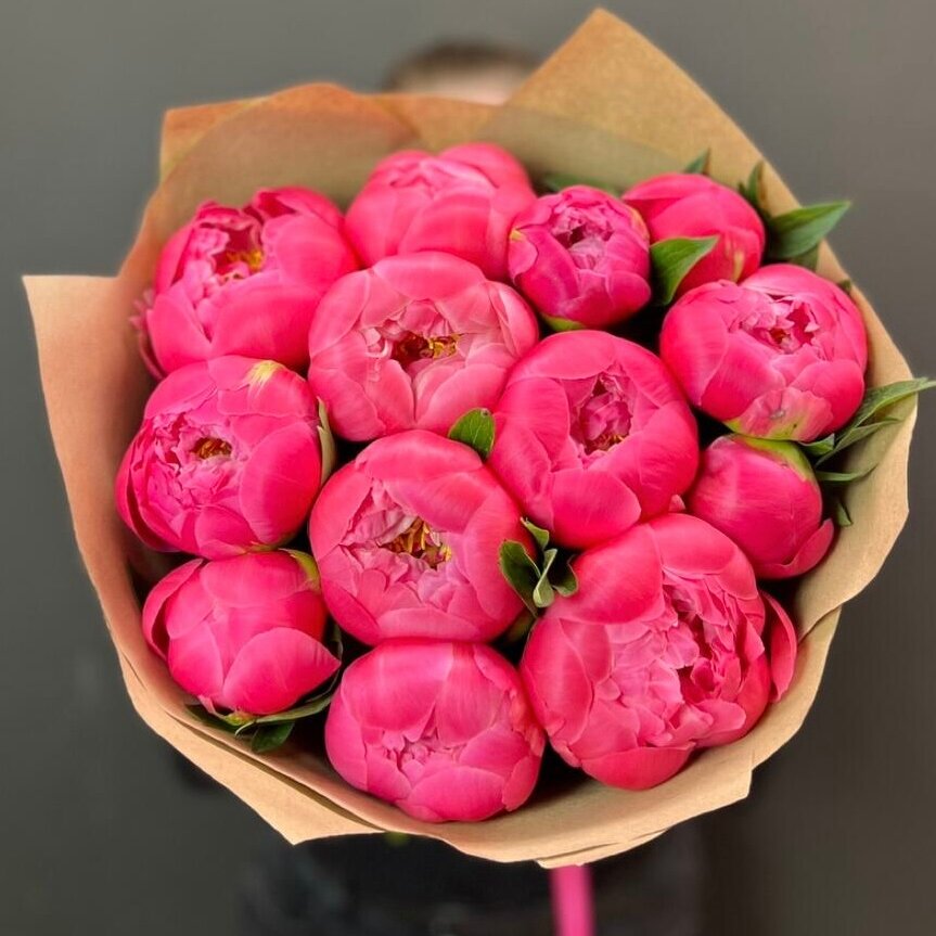 Букет из коралловых пионов 13 шт, красивый букет цветов, шикарный, премиум цветы, премиум букет