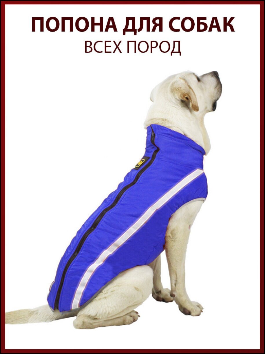 Демисезонная синяя попона 3XL бестселлер для всех пород собак