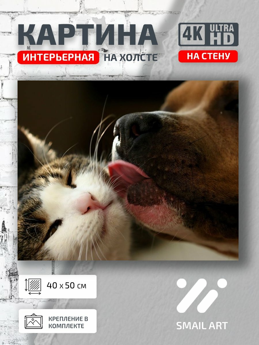 Картина на холсте интерьерная 40 на 50 на стену Кота Animal для спальни animal style декор