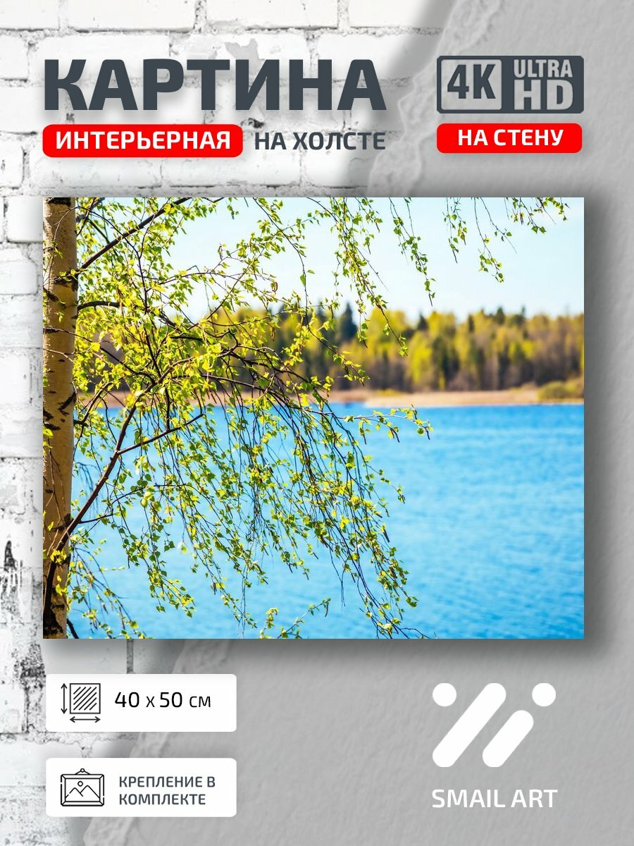 Картина на холсте интерьерная 40 на 50 на стену Лес Landscape для офиса пейзаж интерьер