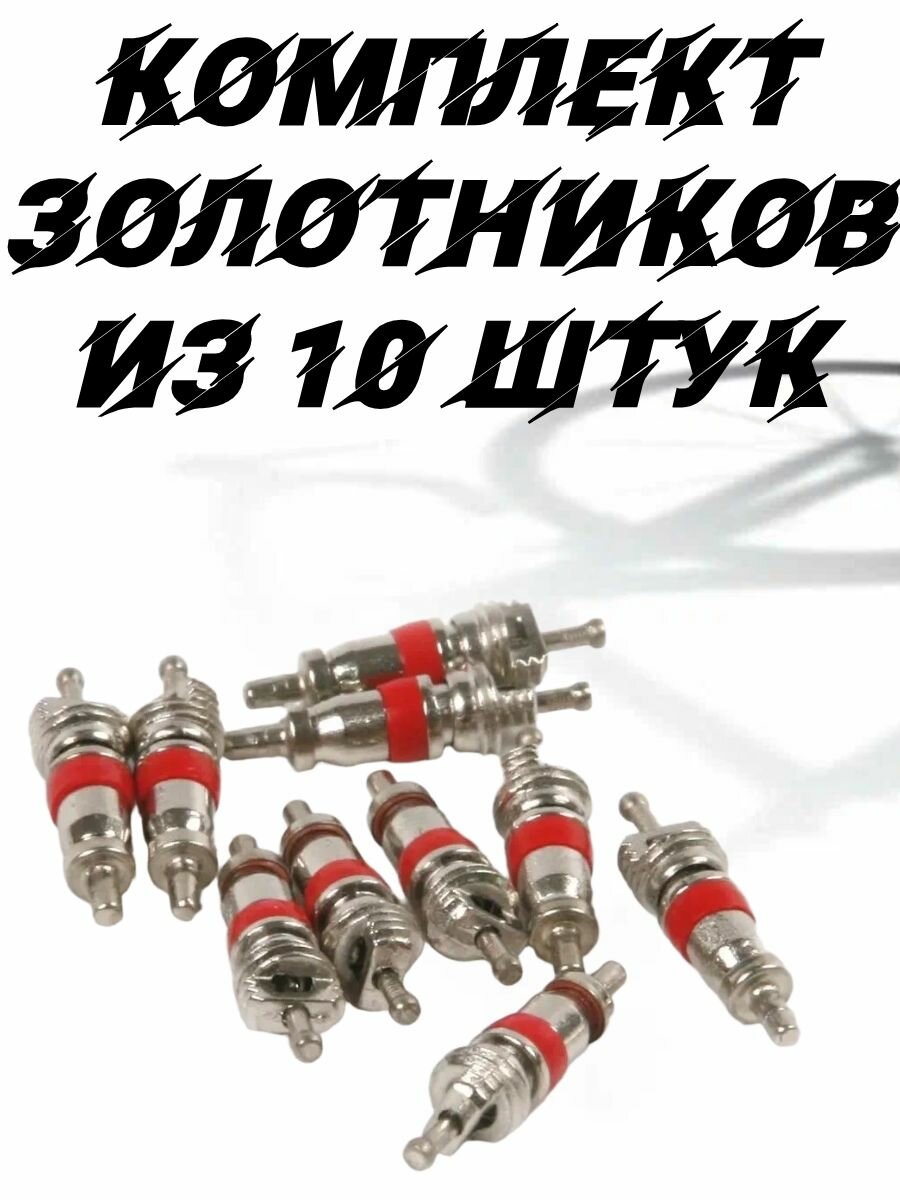 Комплект золотников для ниппеля.