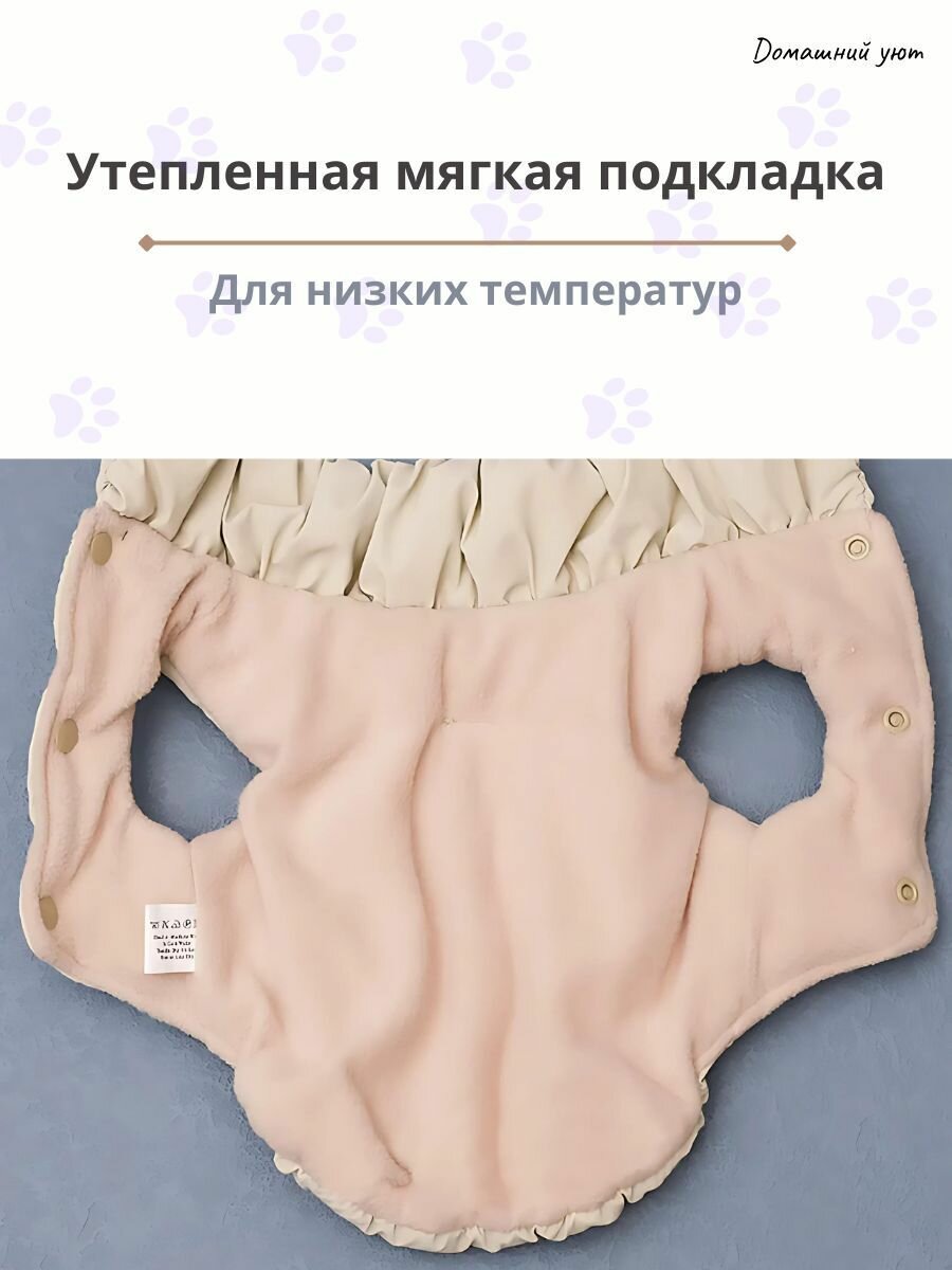 Одежда для животных — фото 1