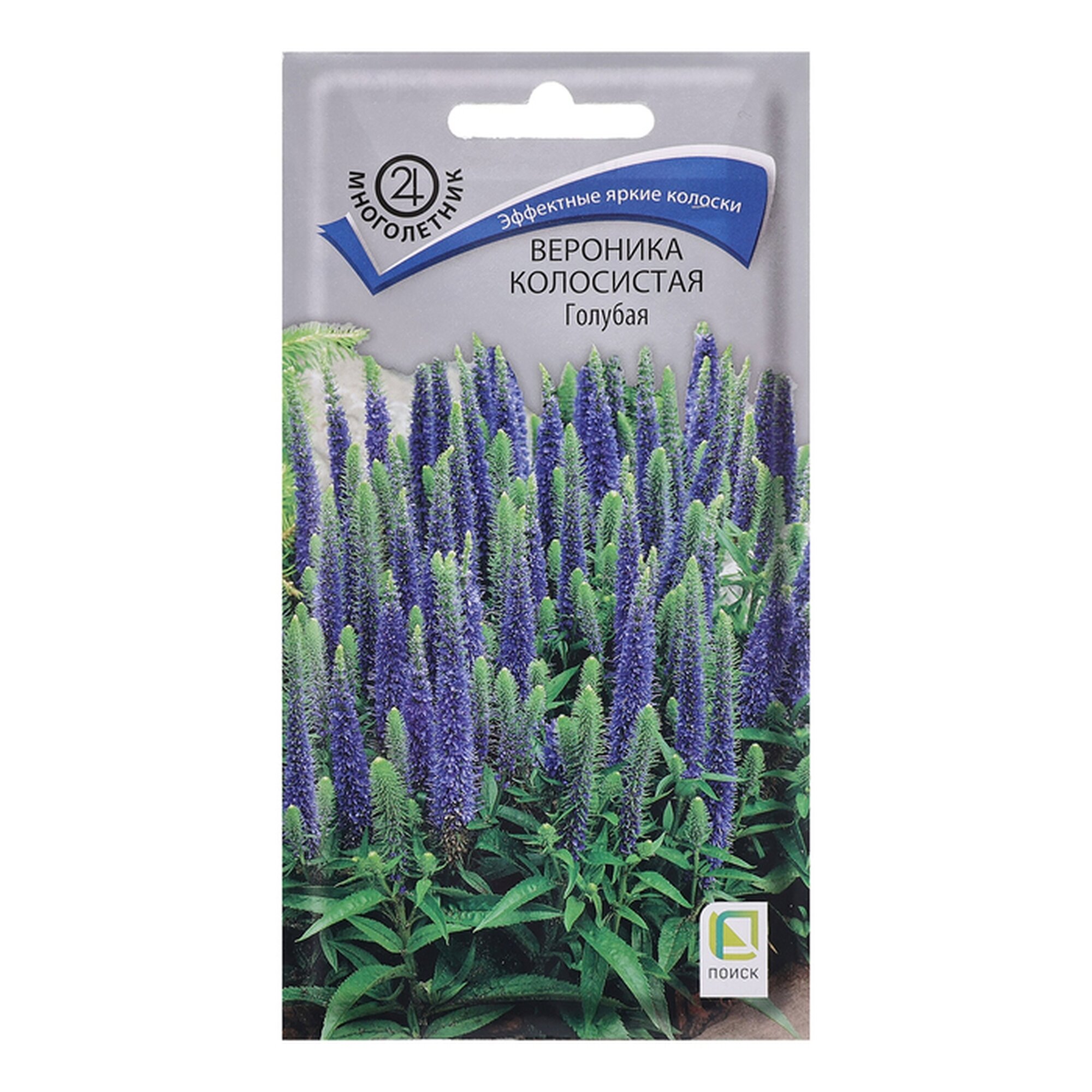 Семена цветов поиск Вероника колосистая "Голубая", вес 0.1 грамм
