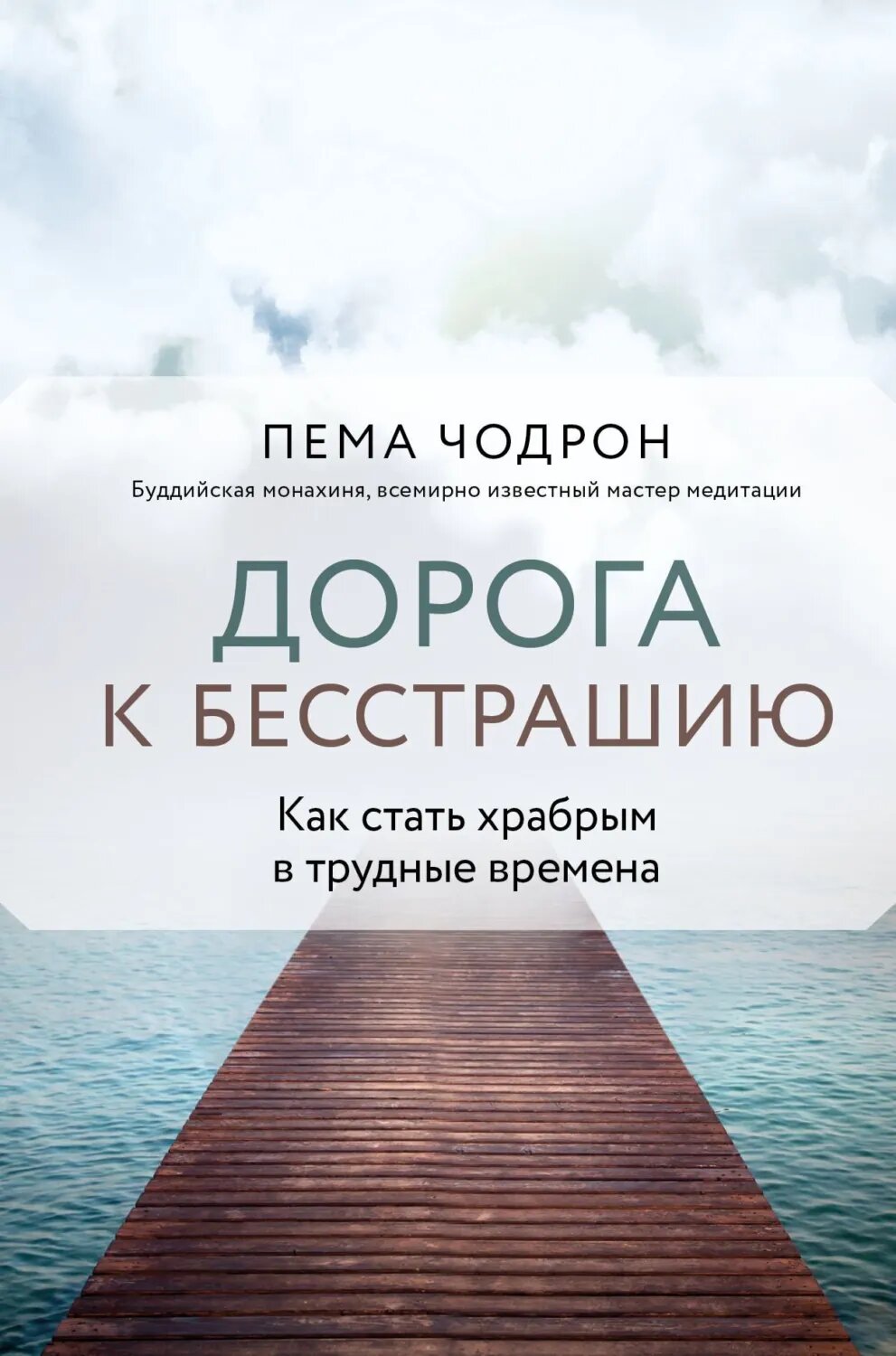 Дорога к бесстрашию. Как стать храбрым в трудные времена [Цифровая книга]