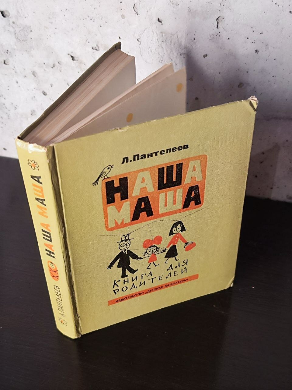 Наша Маша. Книга для родителей