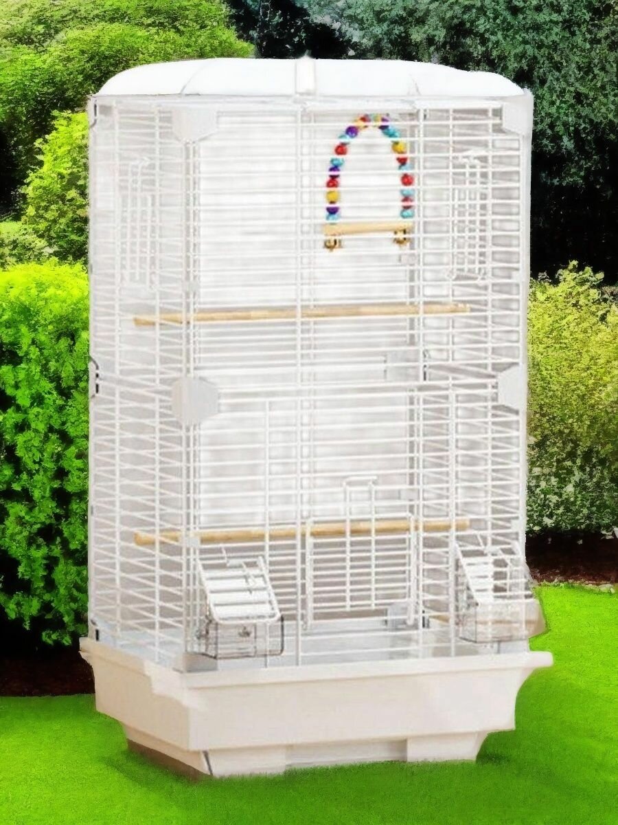 Клетка для попугая, Птичья клетка