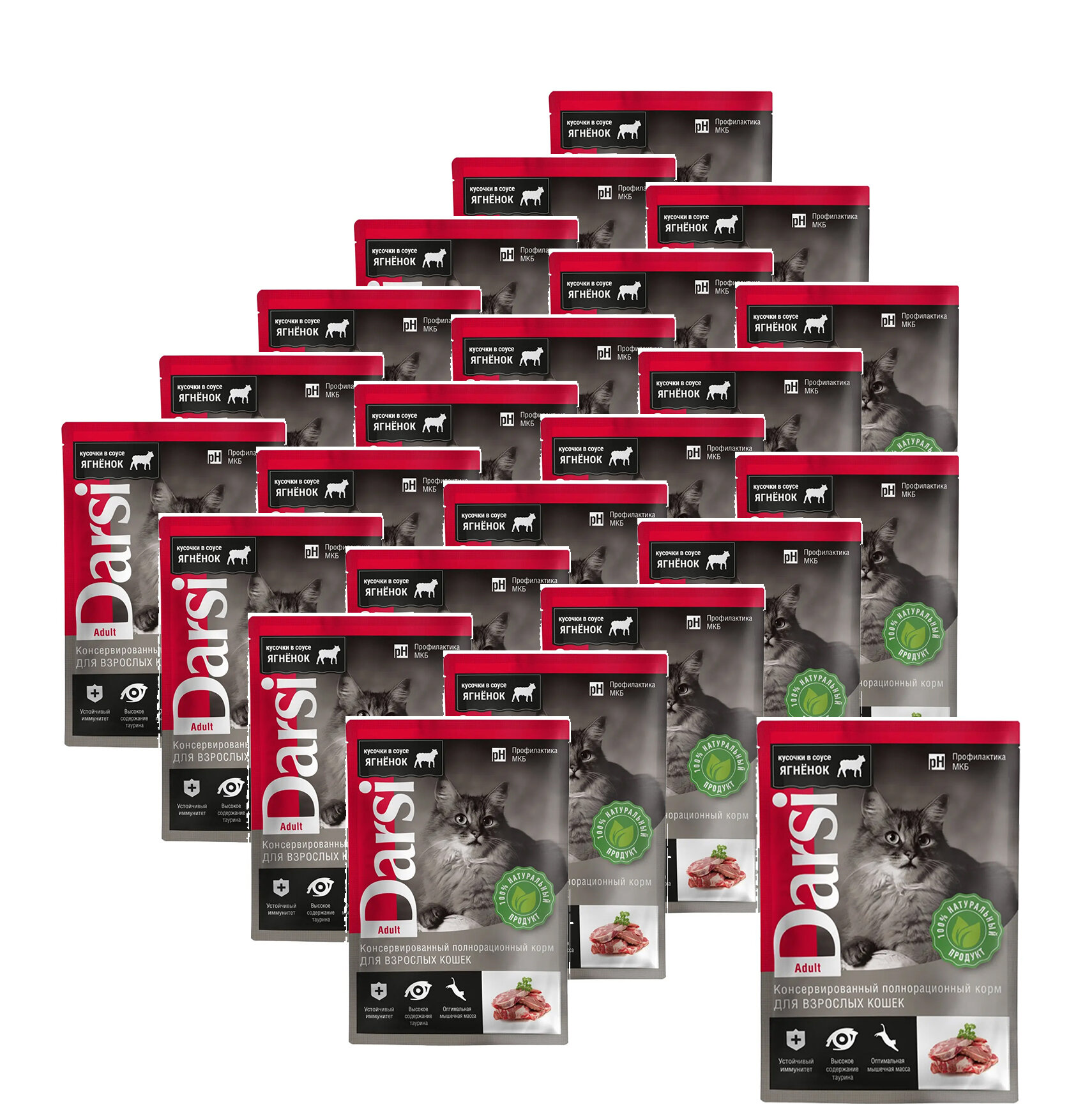 DARSI, Паучи для взрослых кошек, Ягненок, кусочки в соусе, 85 г x 24 шт.