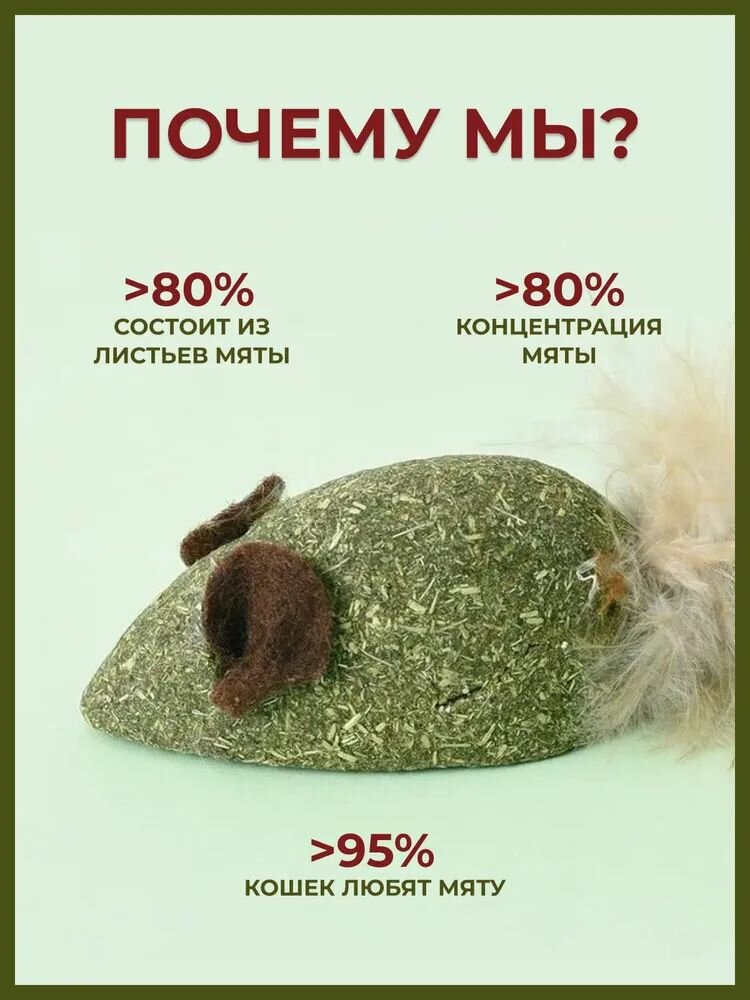 Набор игрушек и лакомств для кошек с кошачьей мятой и функцией ухода 5 штук