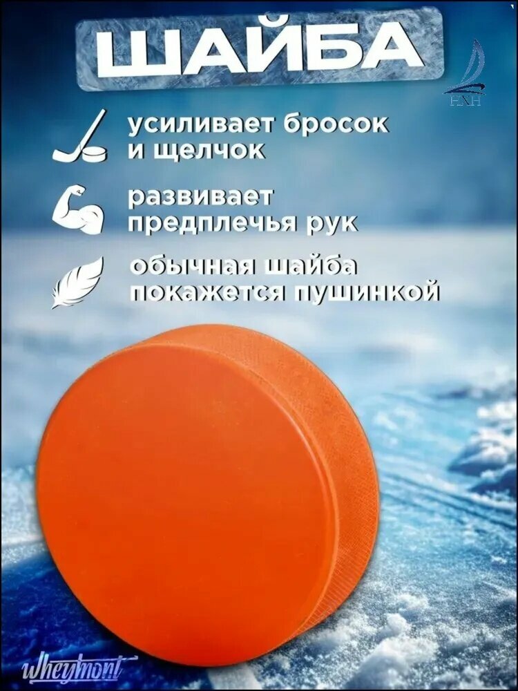 Шайба хоккейная — фото 1