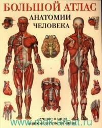 Книга "Большой атлас анатомии человека"