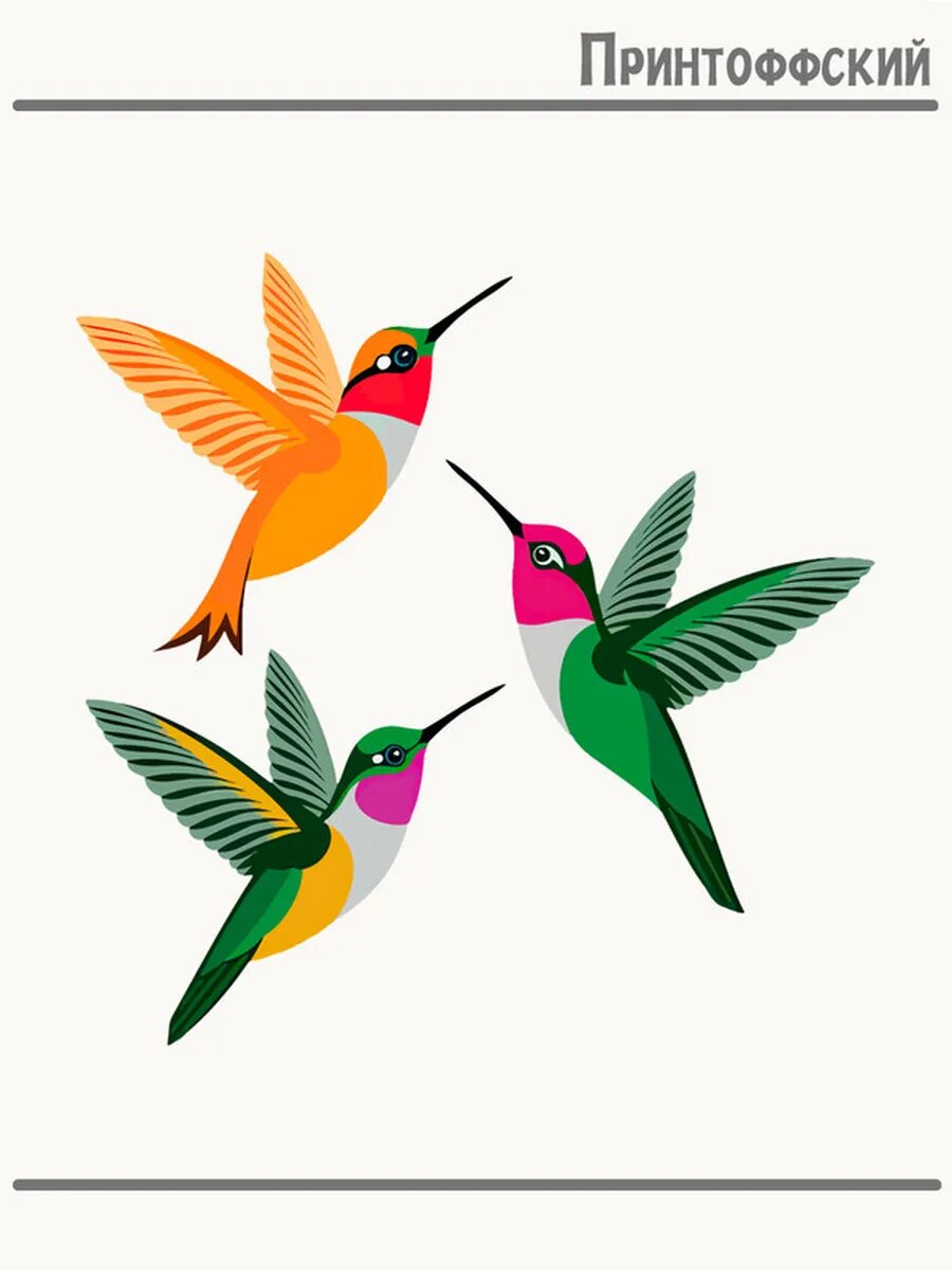 Термонаклейка для одежды и аксессуаров DTF-печать колибри птица colibri