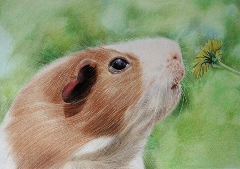 Цветной карандаш DERWENT Drawing одинарный