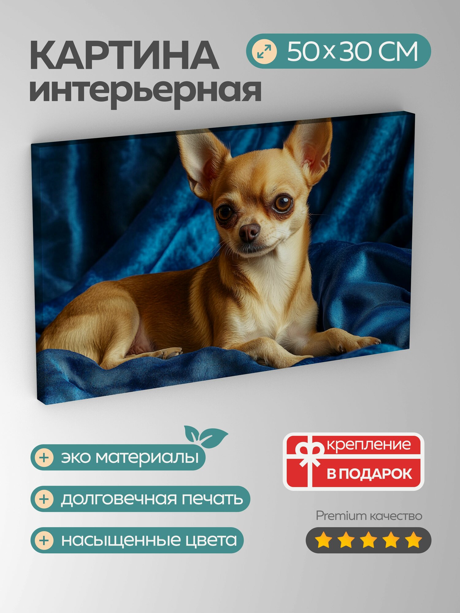 Картина на холсте интерьерная 50х30 см, фотография, чихуахуа, гладкая шерсть, индиго, бархатистая ткань, элегантность