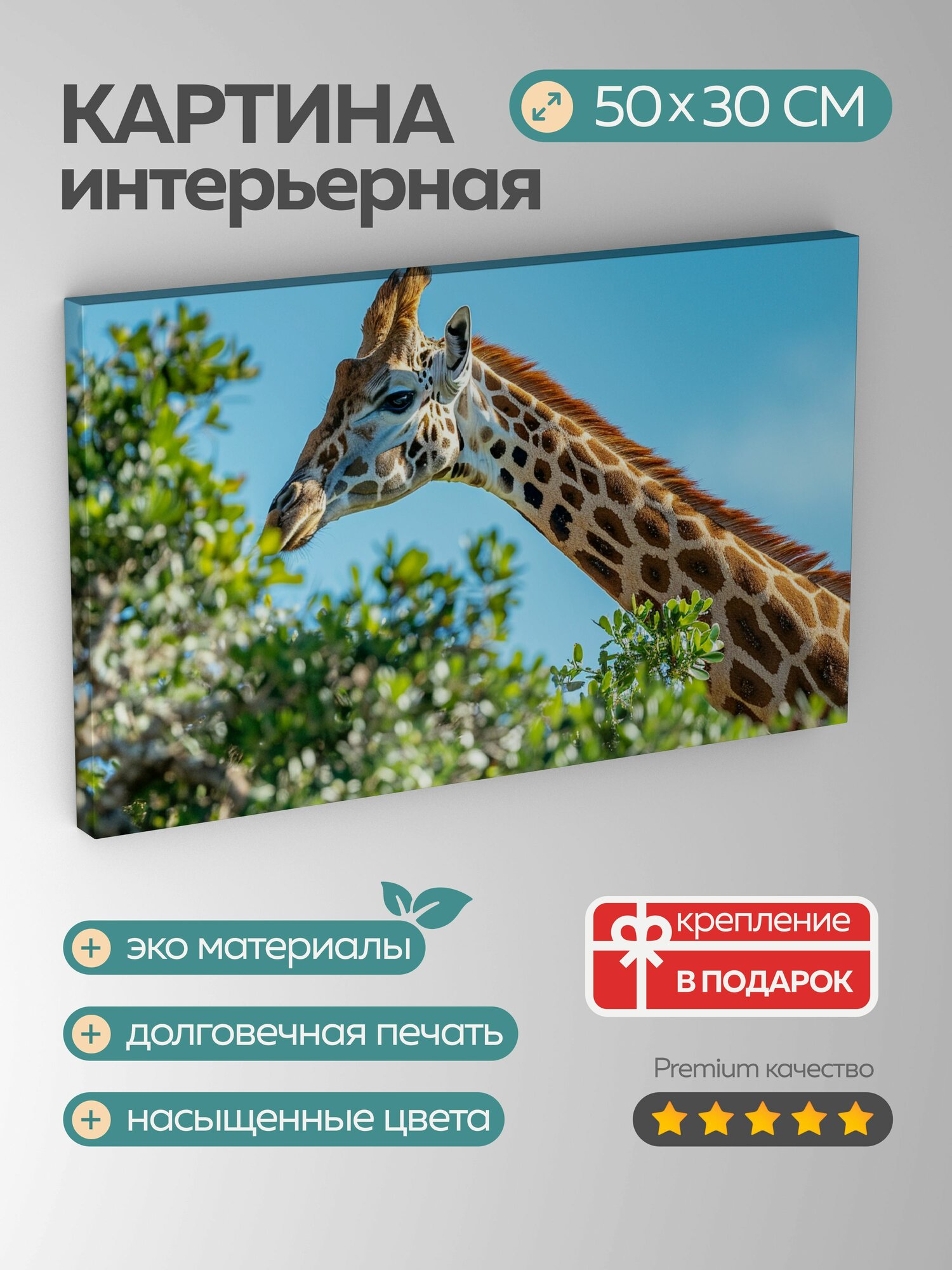 Картина на холсте интерьерная 50х30 см, жираф, шея, деревья, пятна, небо, африканская саванна, фотография, Canon, ISO