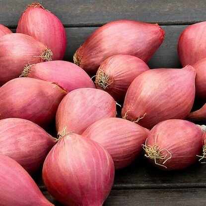 Лук-севок Розанна (10-21мм) (500 гр.), Нидерланды