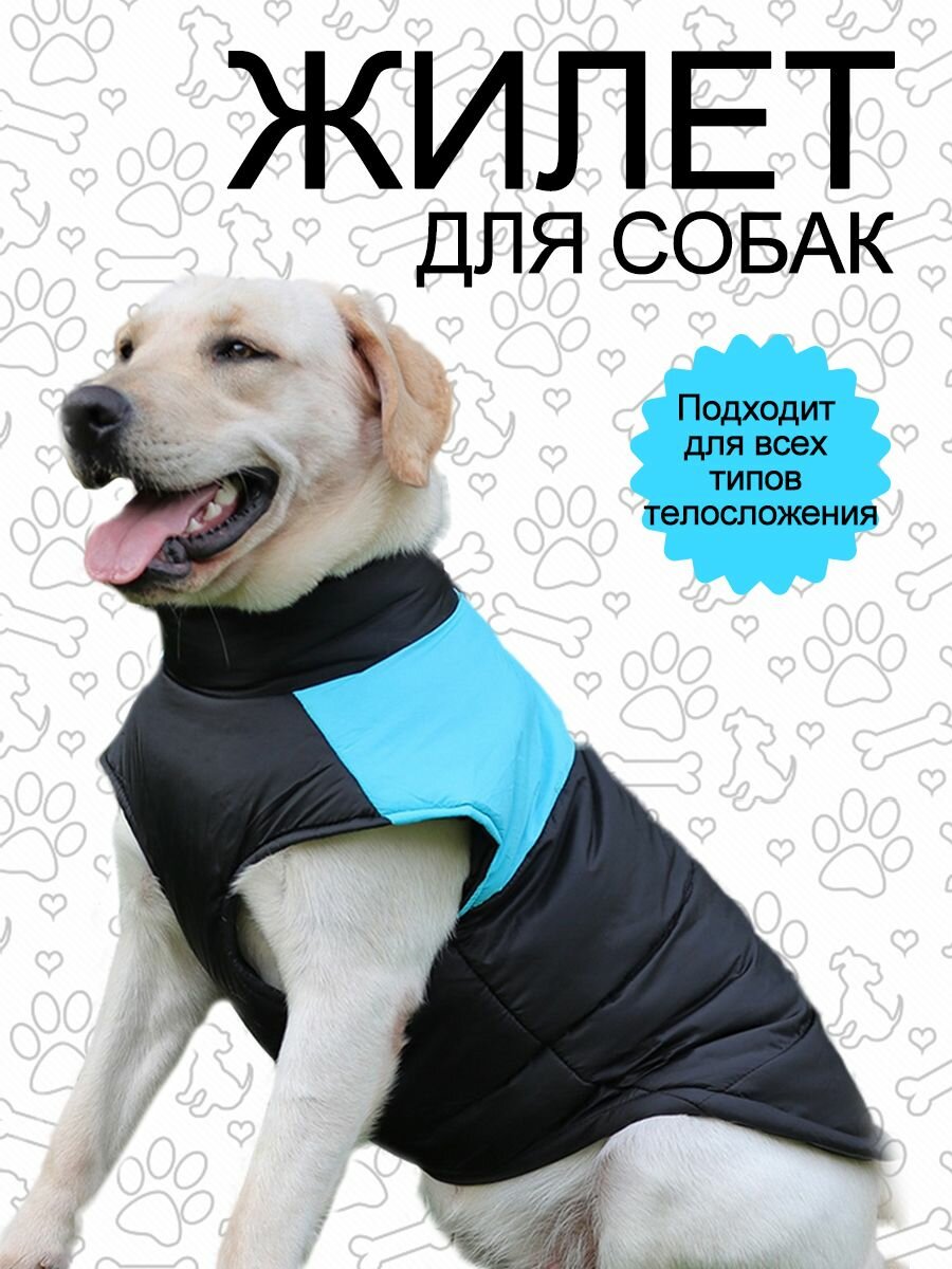 Одежда для животных