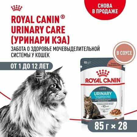 ROYAL CANIN URINARY CARE 28 шт по 85 г кусочки в соусе, влажный корм для взрослых кошек при мочекаменной болезни