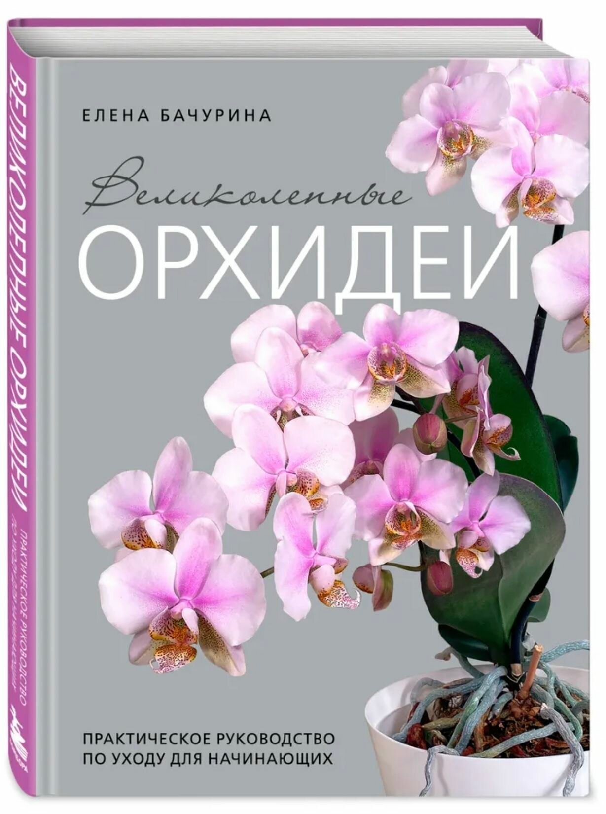 Великолепные орхидеи. Практическое руководство по уходу для начинающих