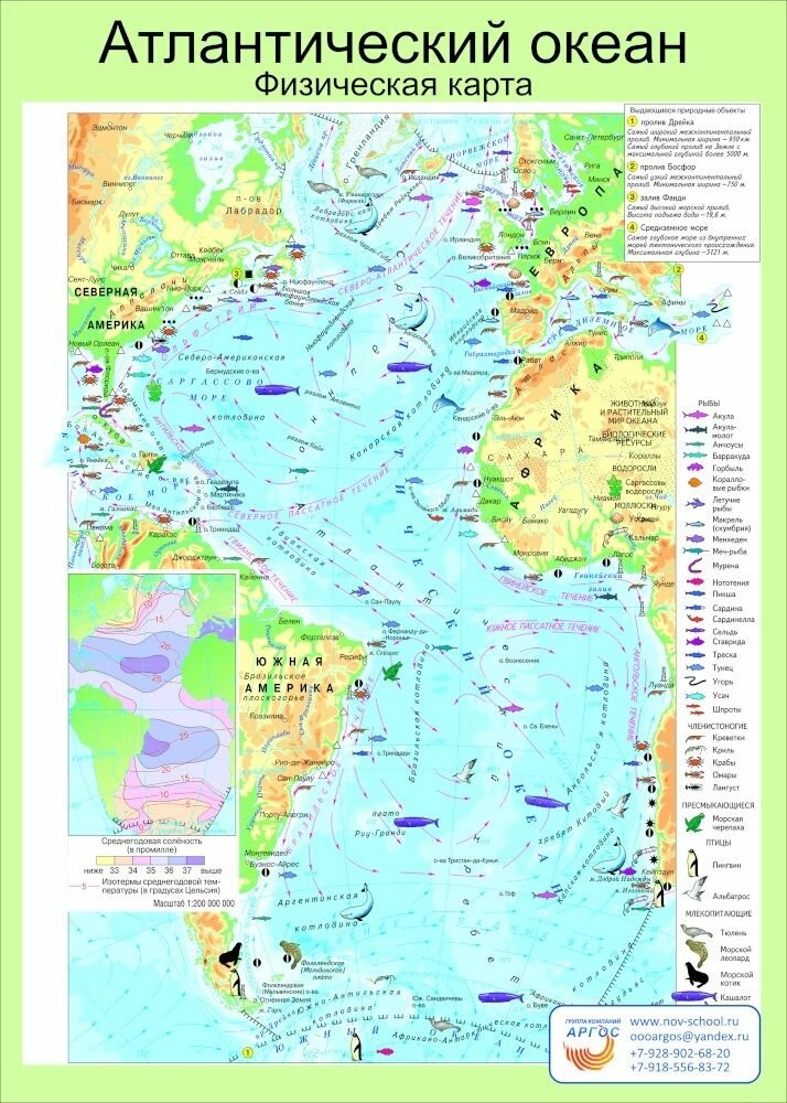 Атлантический океан. Физическая карта 7 класс