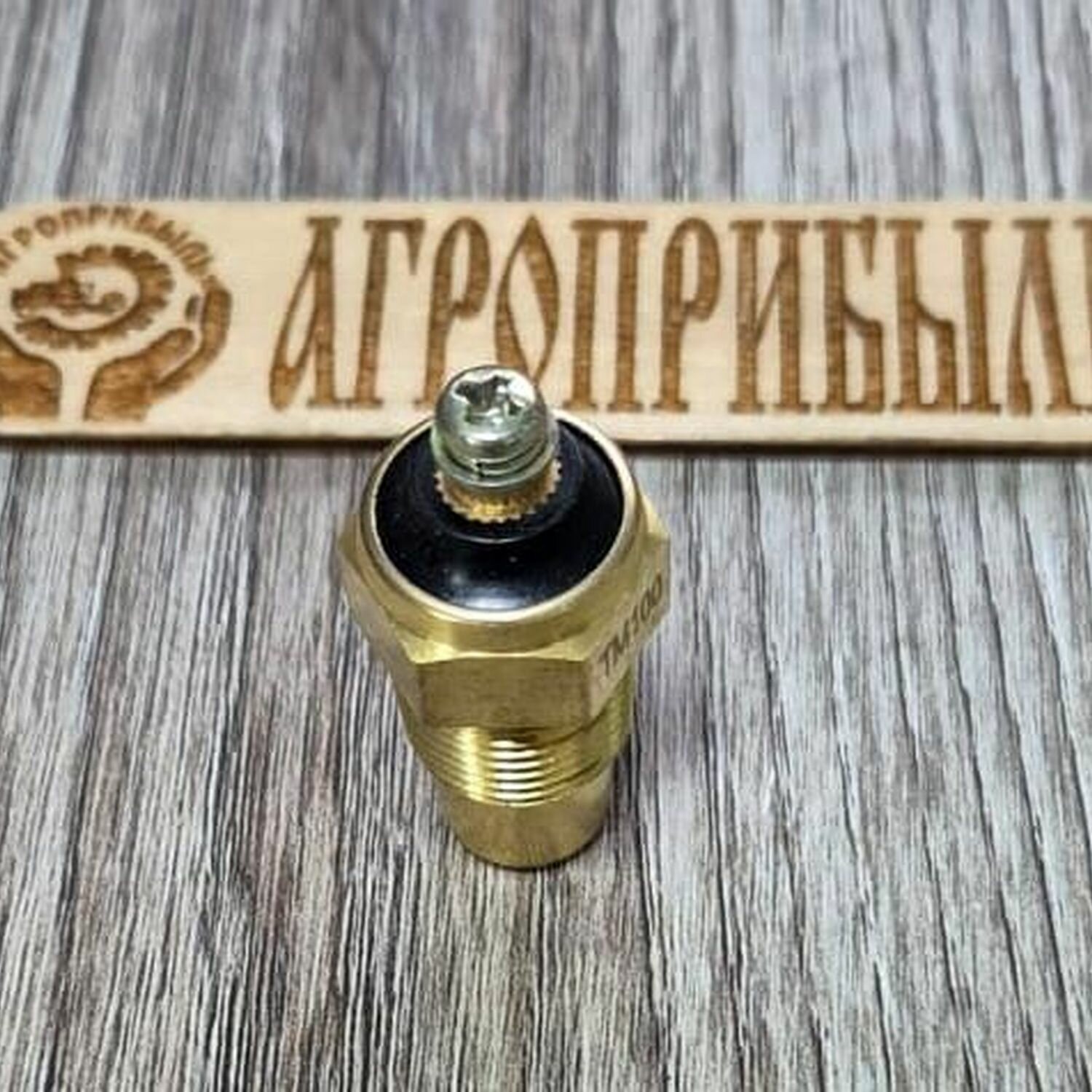 Датчик температуры охлаждающей жидкости ТМ-100