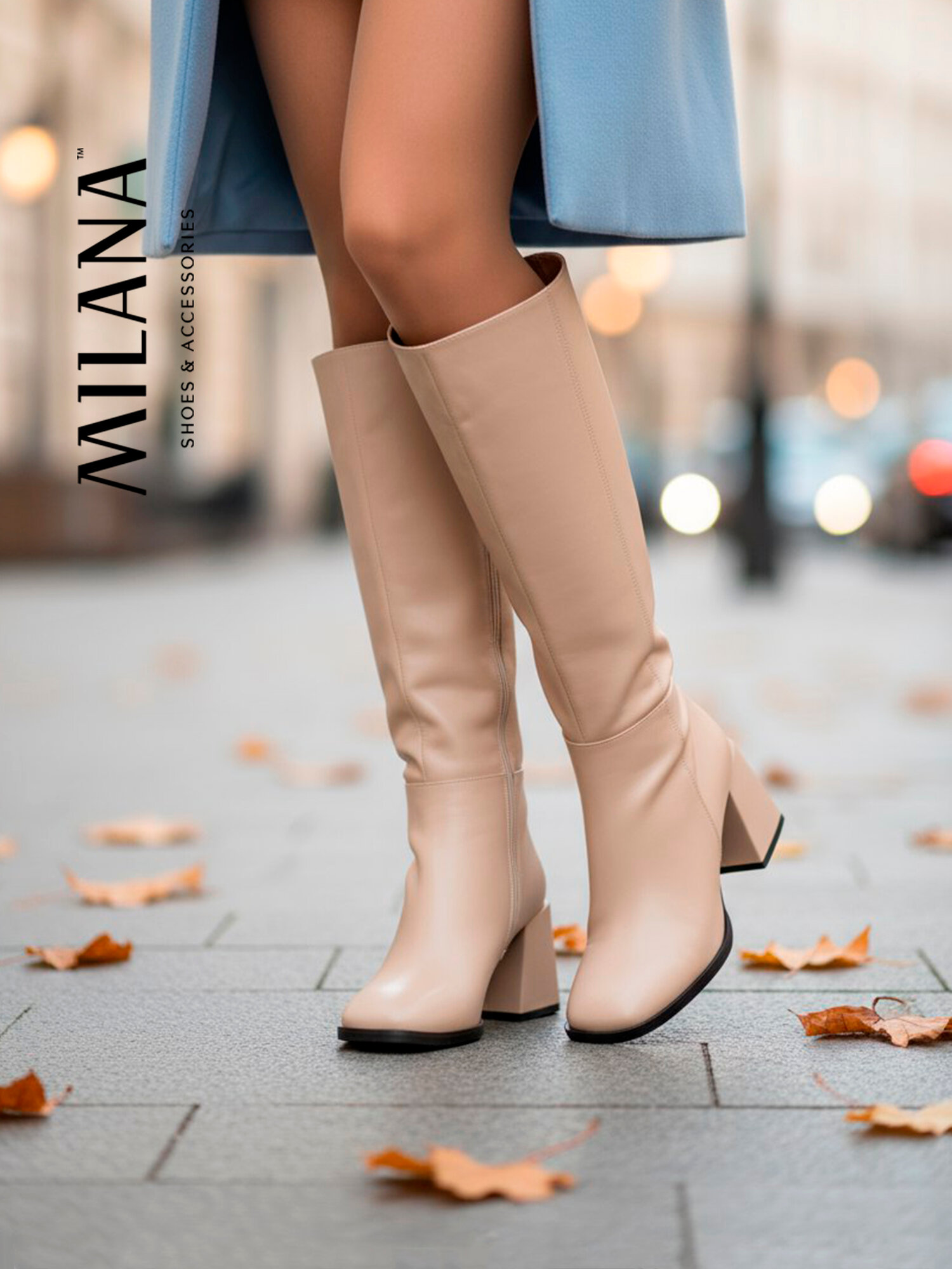 Сапоги Базовая Осень-Зима