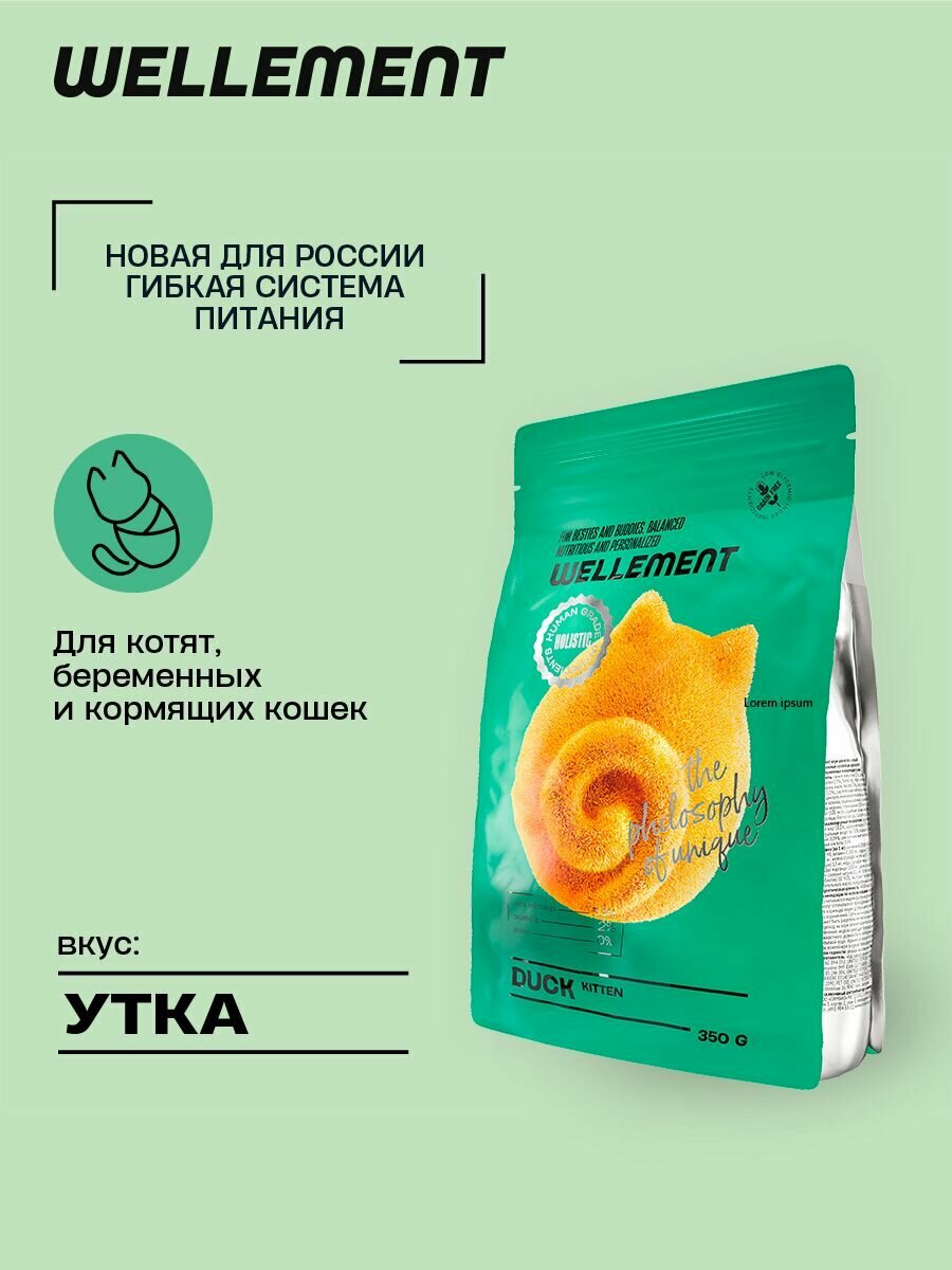 Беззерновой сухой корм холистик Wellement для котят с уткой, 350 г