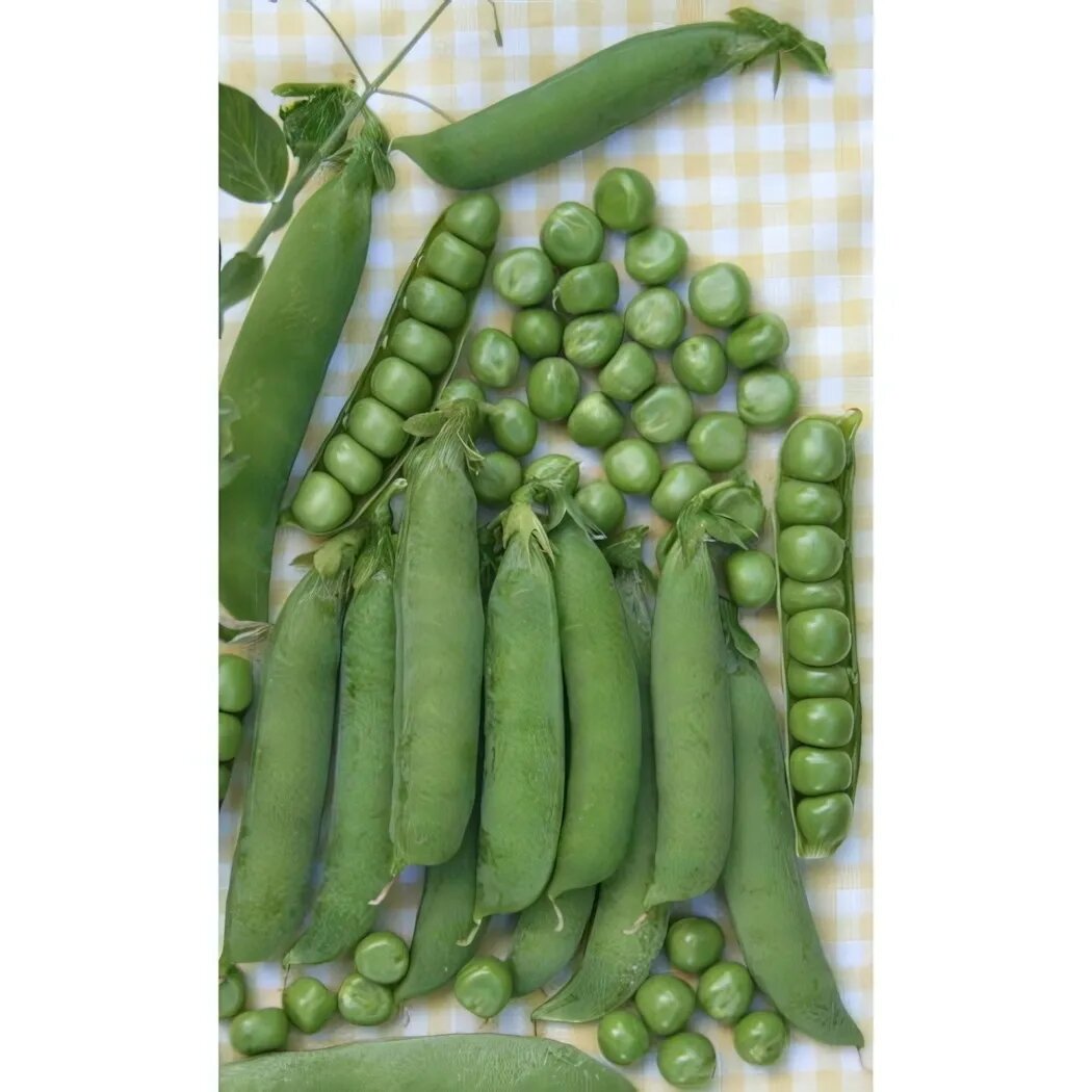 Семена гороха Ранний 301, сладкие горошины, 5гр, для свежего потребления