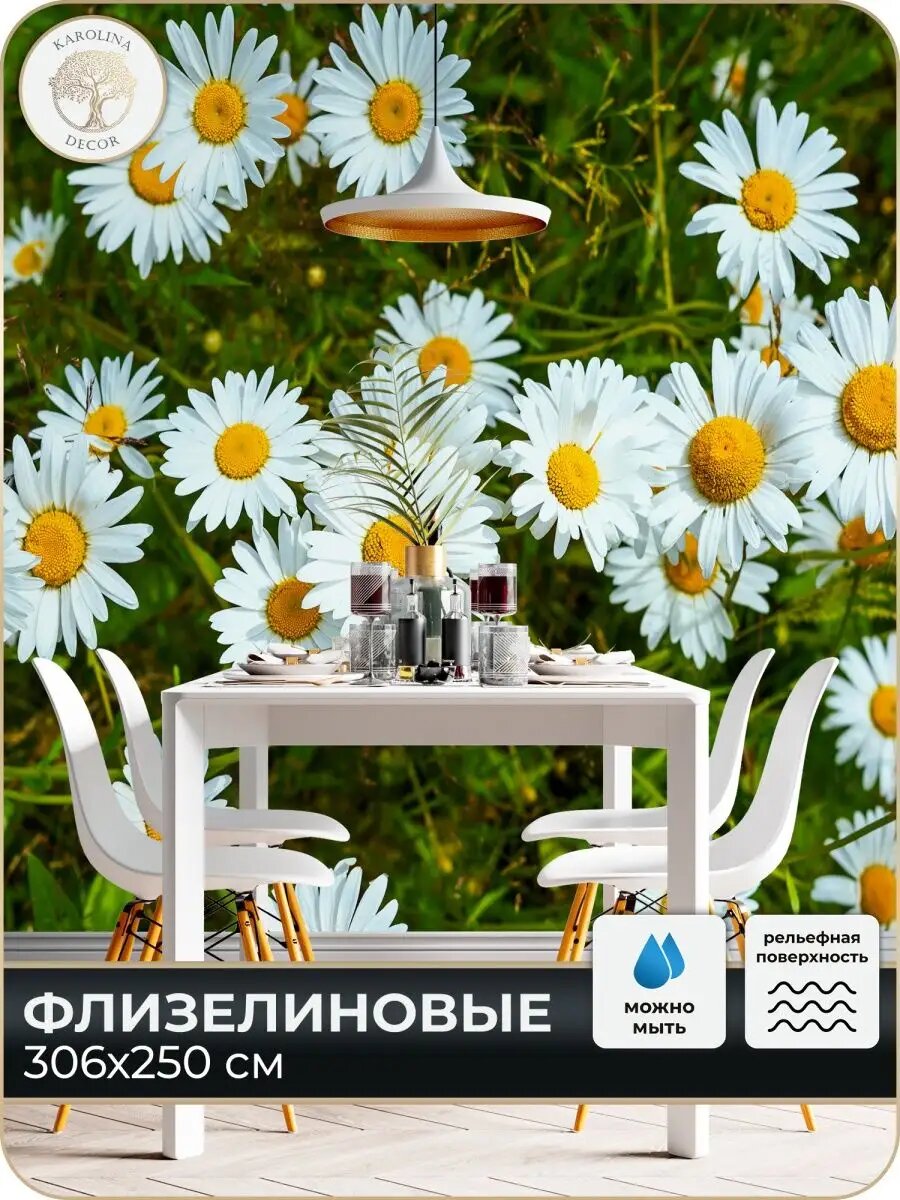 Фотообои Ромашки в детскую в спальню на кухню 300х250