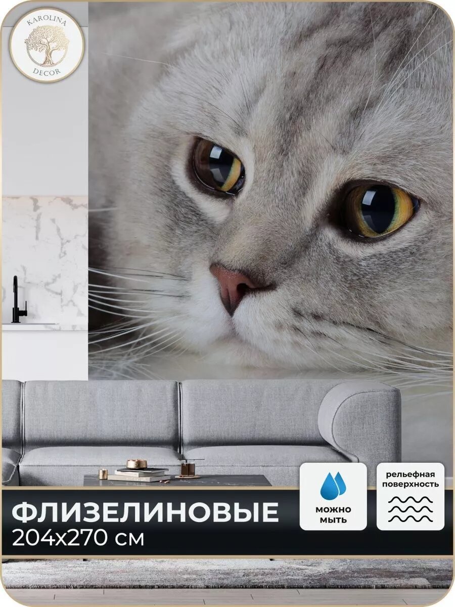 Фотообои 3D "Котенок" в спальню на кухню в зал 200х270