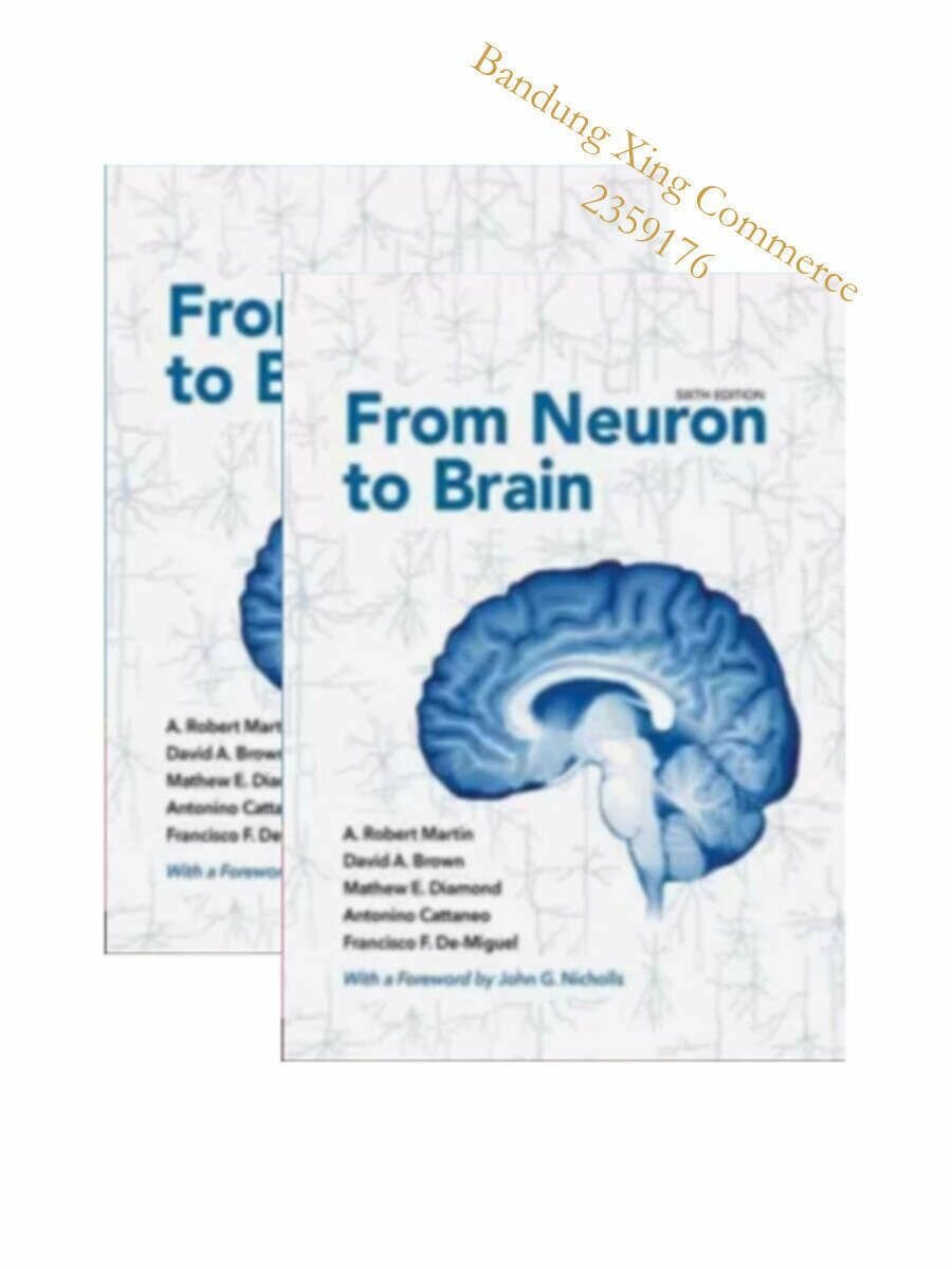 From Neuron to Brain /бумажная книга