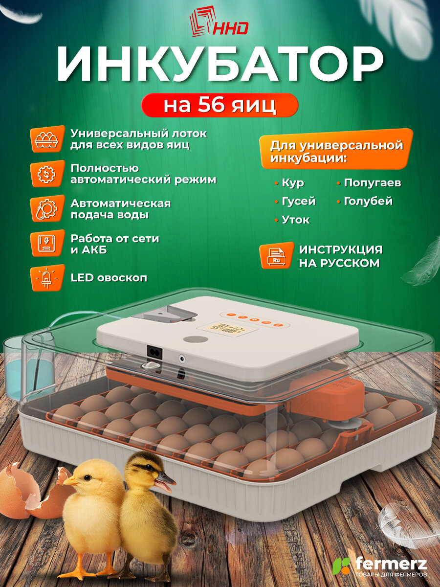 Инкубатор EW-56H на 56 куриных яиц WONEGG