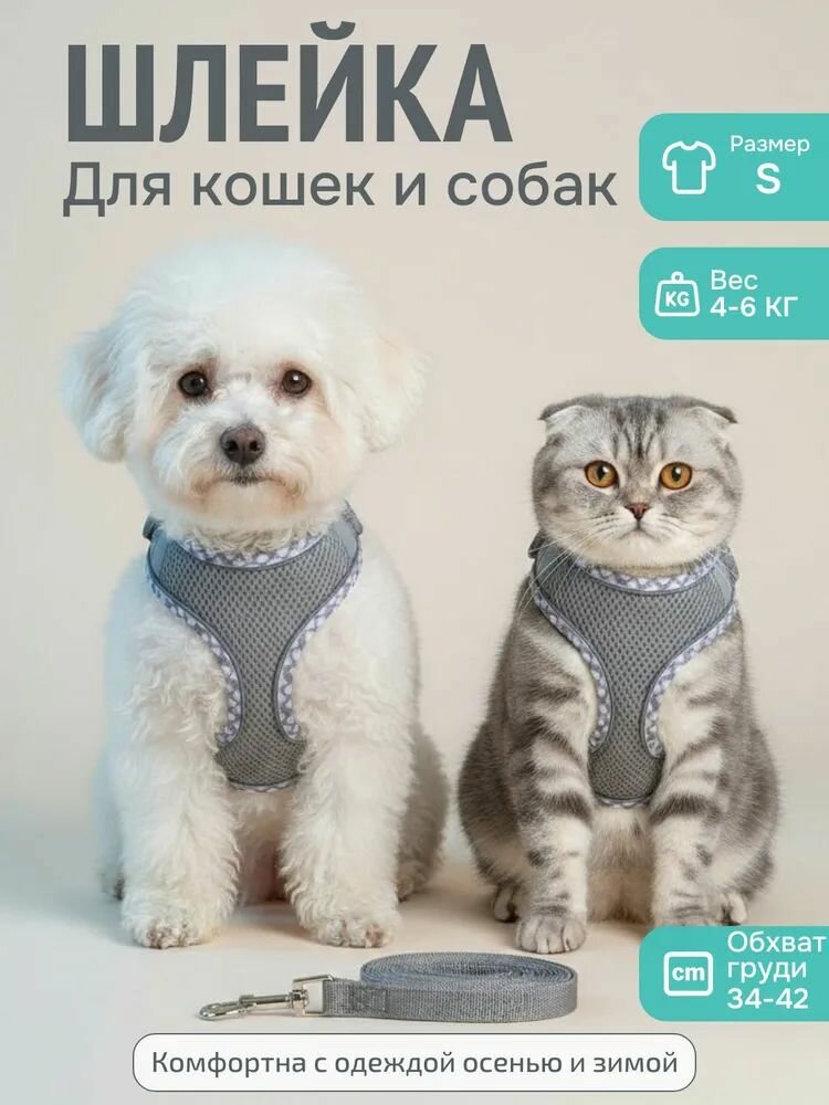 Шлейка для кошек и собак, серая, размер S, анатомическая и регулируемая, с поводком 1,5 м, грудь 34 42 см