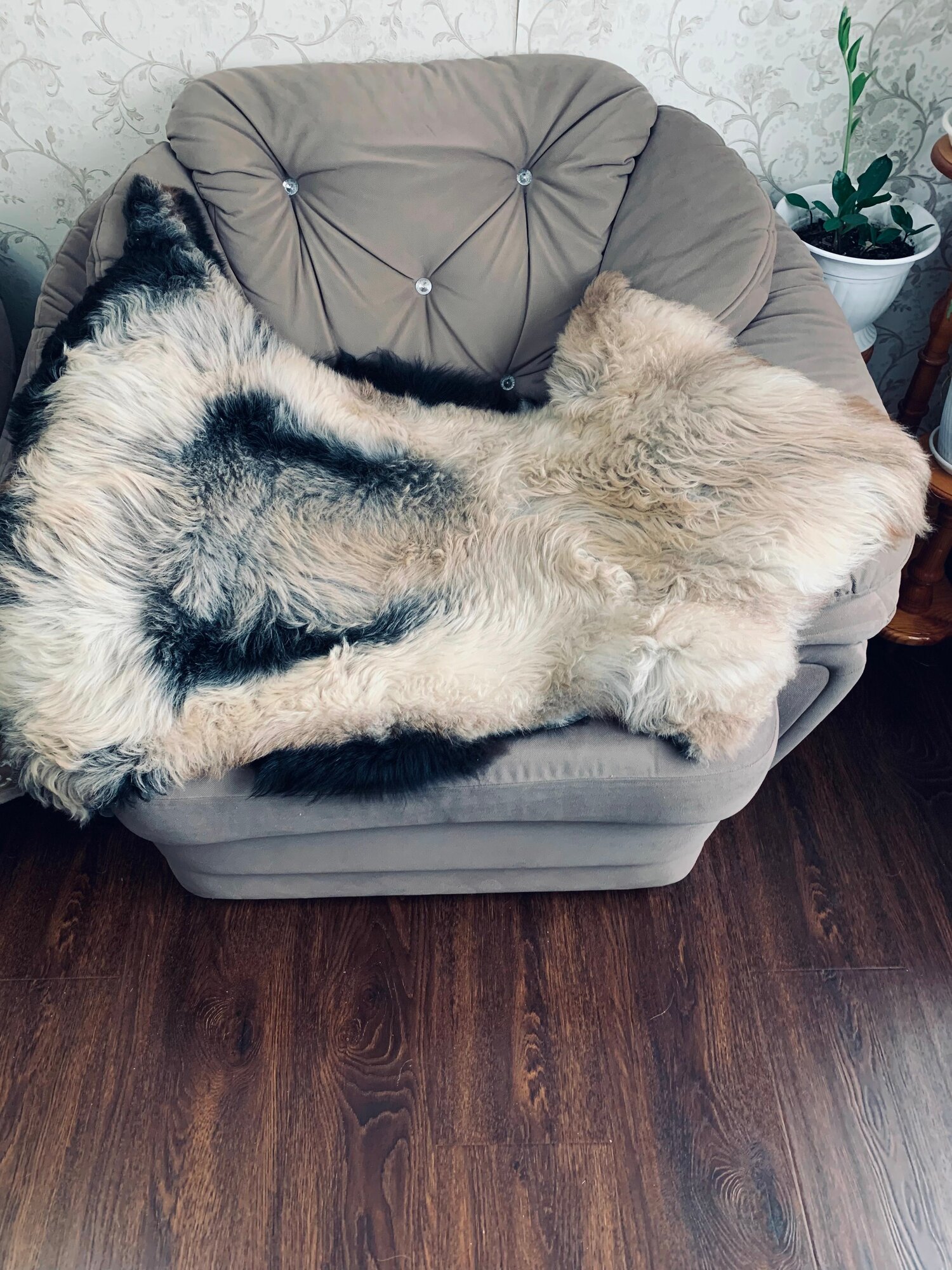 Ковер-накидка из натуральной овечьей шкуры (мех, овчина) для дома и авто