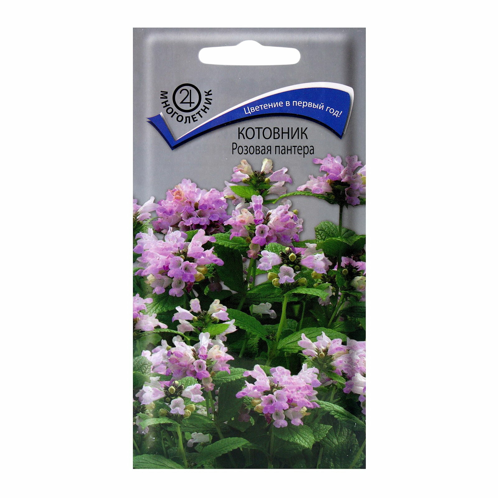 Семена цветов Котовник Розовая пантера, 10шт, назначение: для создания сухоцветов