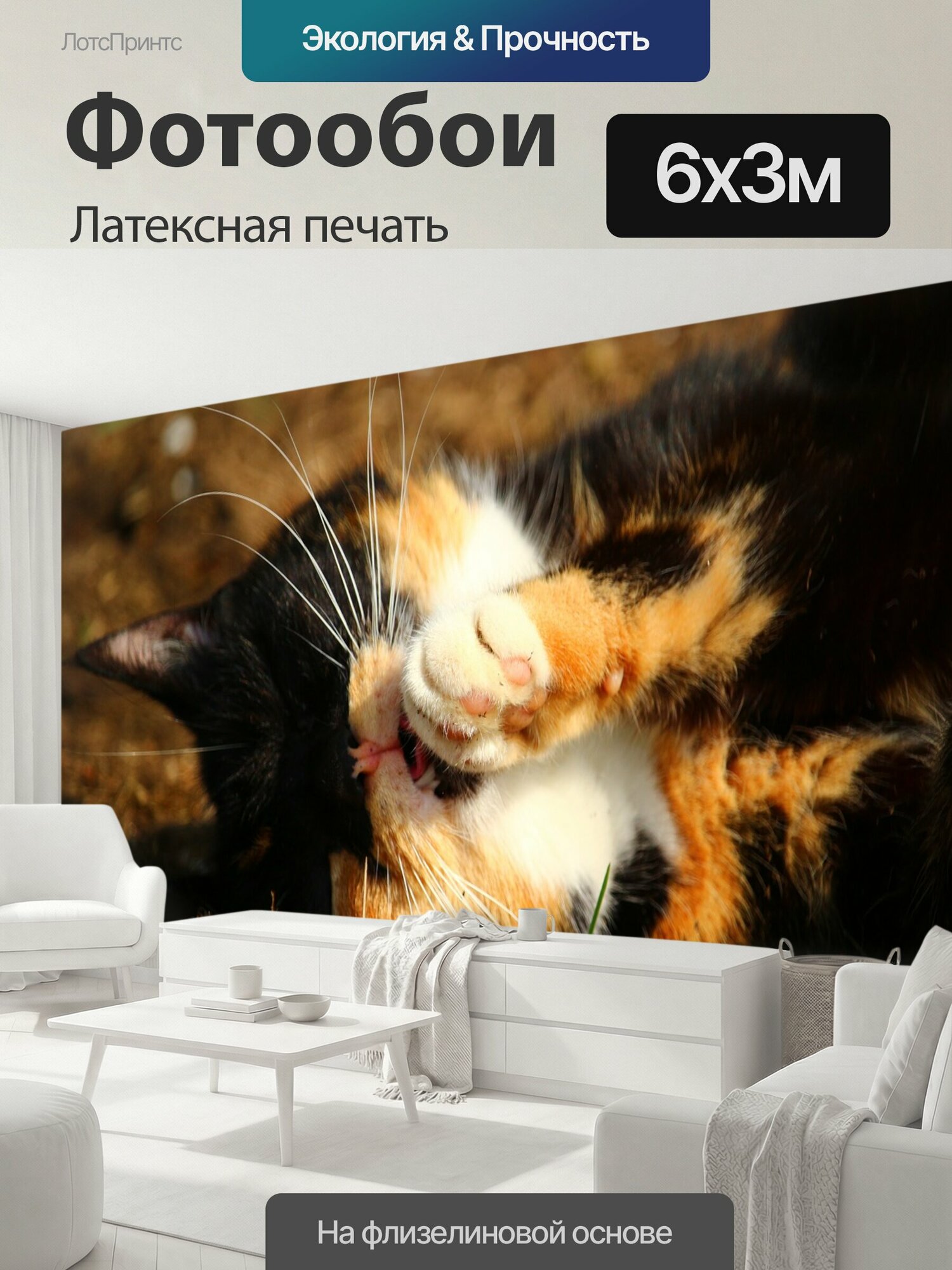 Фотообои моющиеся ударопрочные "Кот, котенок, lucky cat" 600x300 см. латексная печать