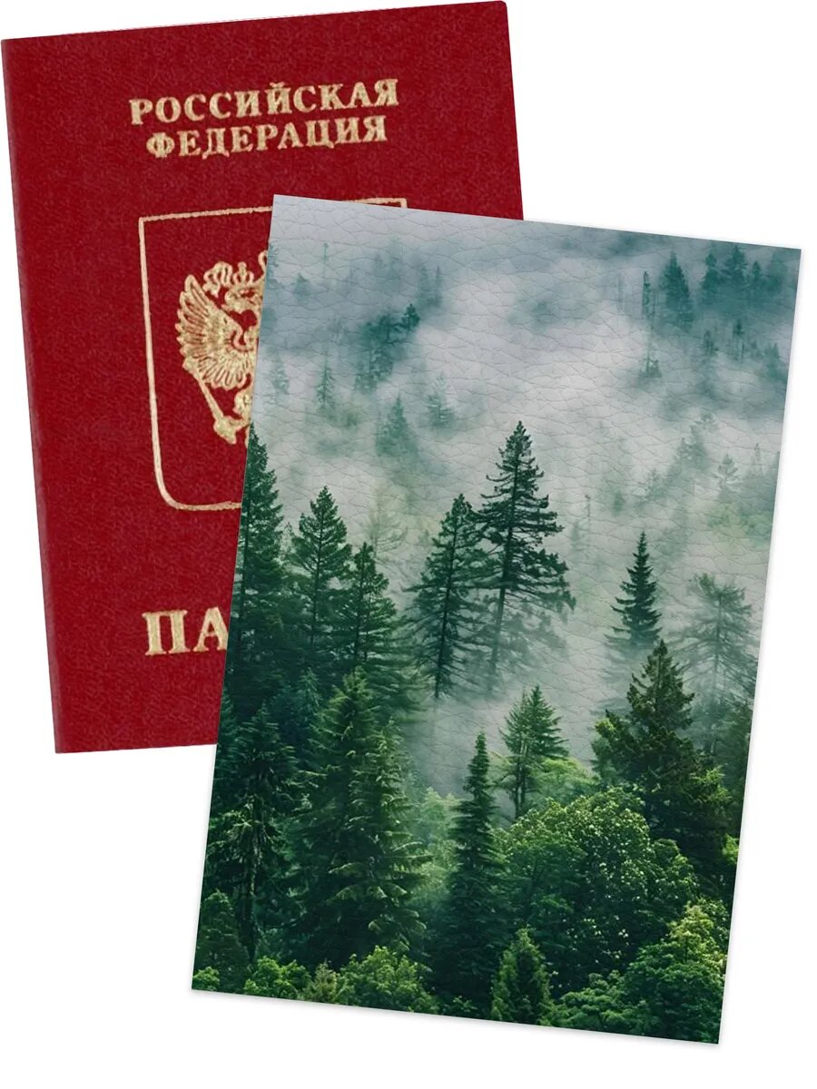 Обложка для паспорта