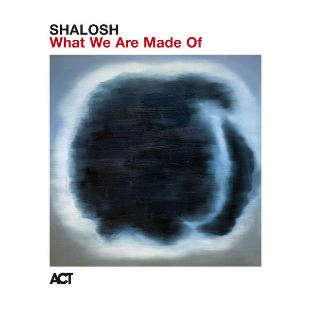 Shalosh - What We Are Made Of - новая виниловая пластинка