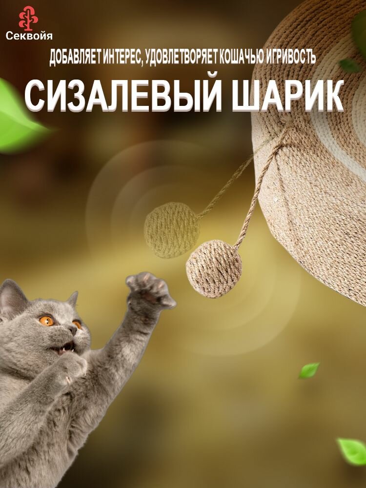 Когтеточка — фото 1