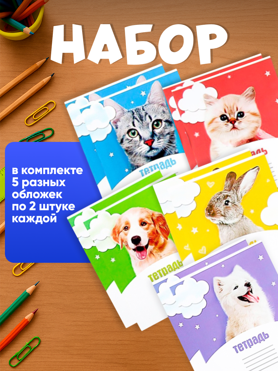 Набор тетрадей 12 листов в клетку Calligrata «Домашние животные», обложка мелованный картон, 10 шт.