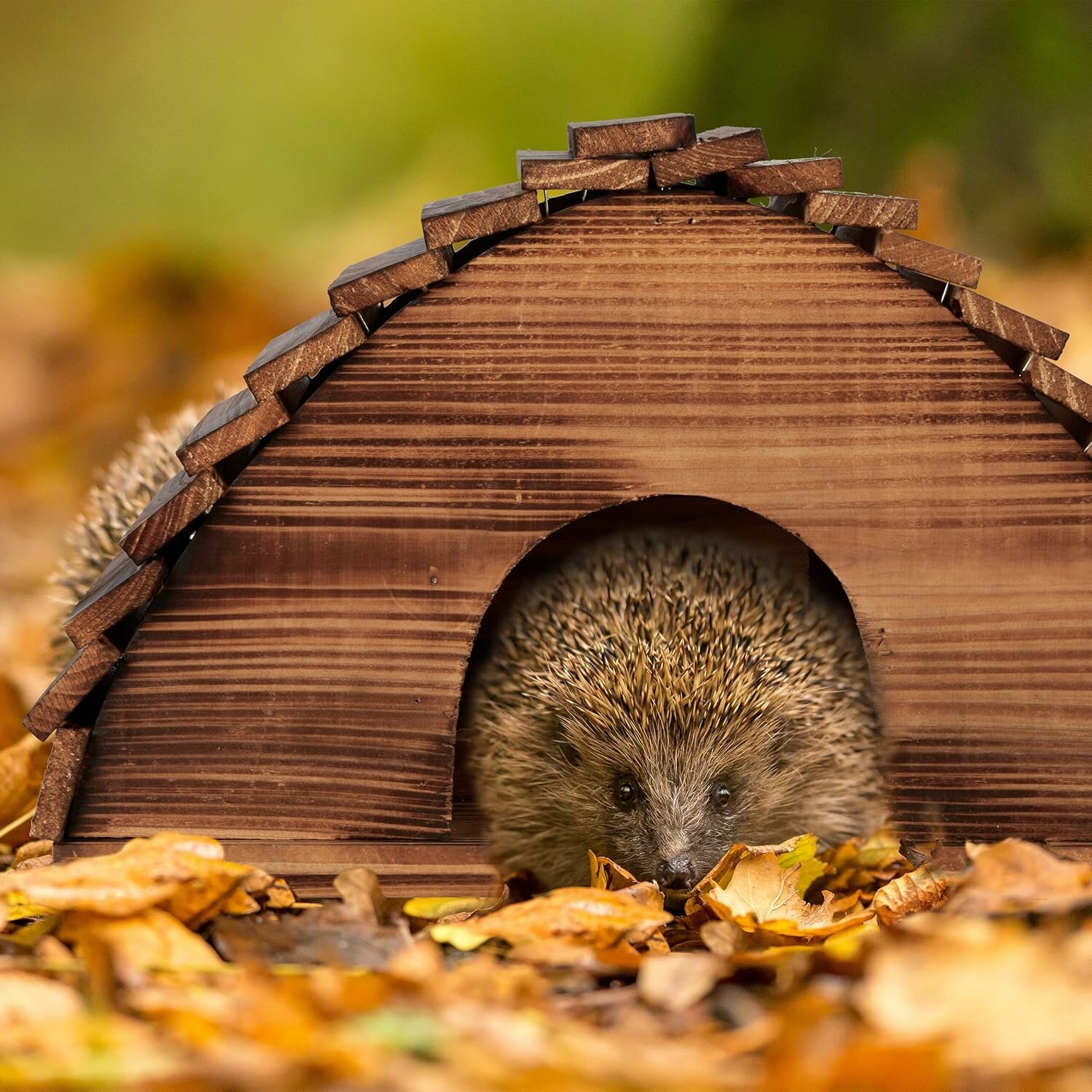 Домик для ежа; Домик из натурального дерева для ежика, для грызунов