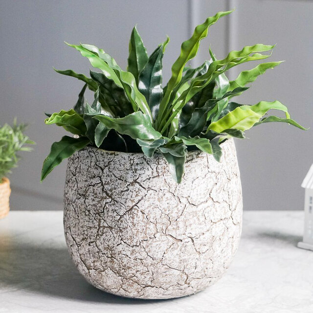 Декоративное кашпо Эрмосильо 21*19 см, Edelman, 1066675