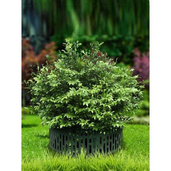 Защита для кустов и деревьев Мастерсад зеленый высота 21см, ширина 35см, 4шт