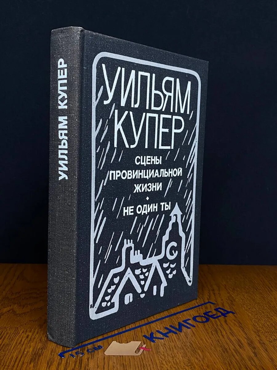 Книга. Сцены провинциальной жизни. Не один ты 1981 (2044427642939)