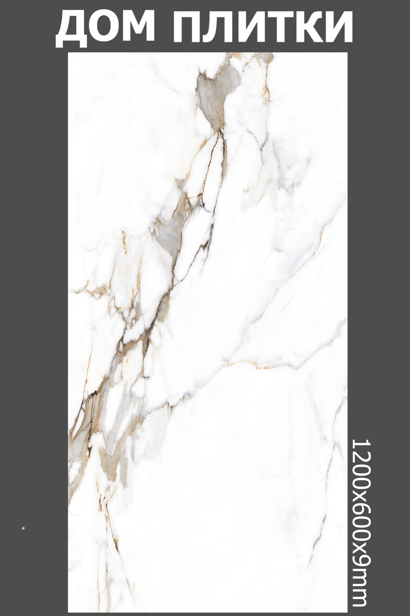 Керамогранит PALERMO 60x120 7мм POLISHED , глянцевый (цена за 1 плит. 0.72 м2)