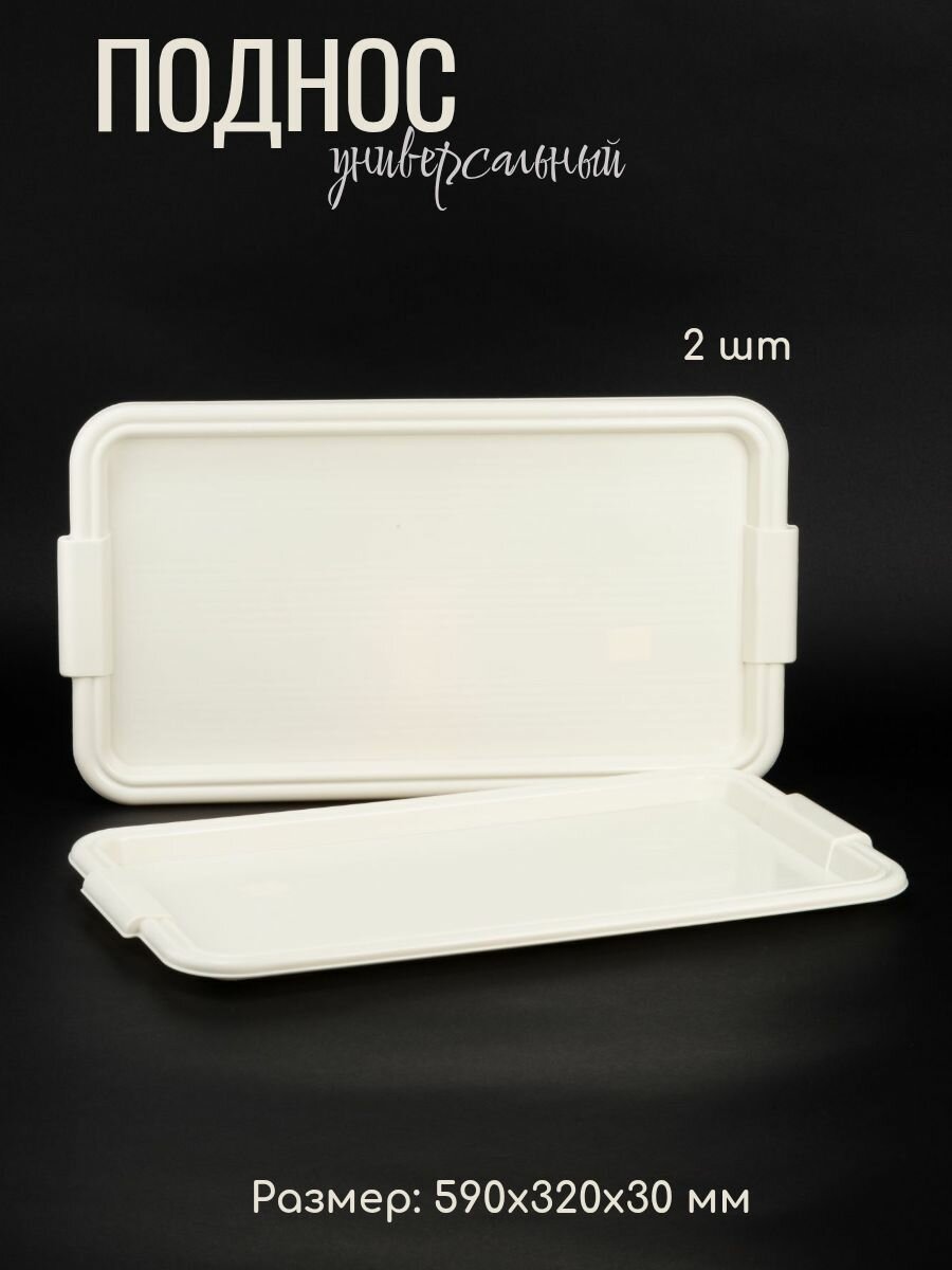 Поднос пластиковый универсальный 59*32 см - 2 шт