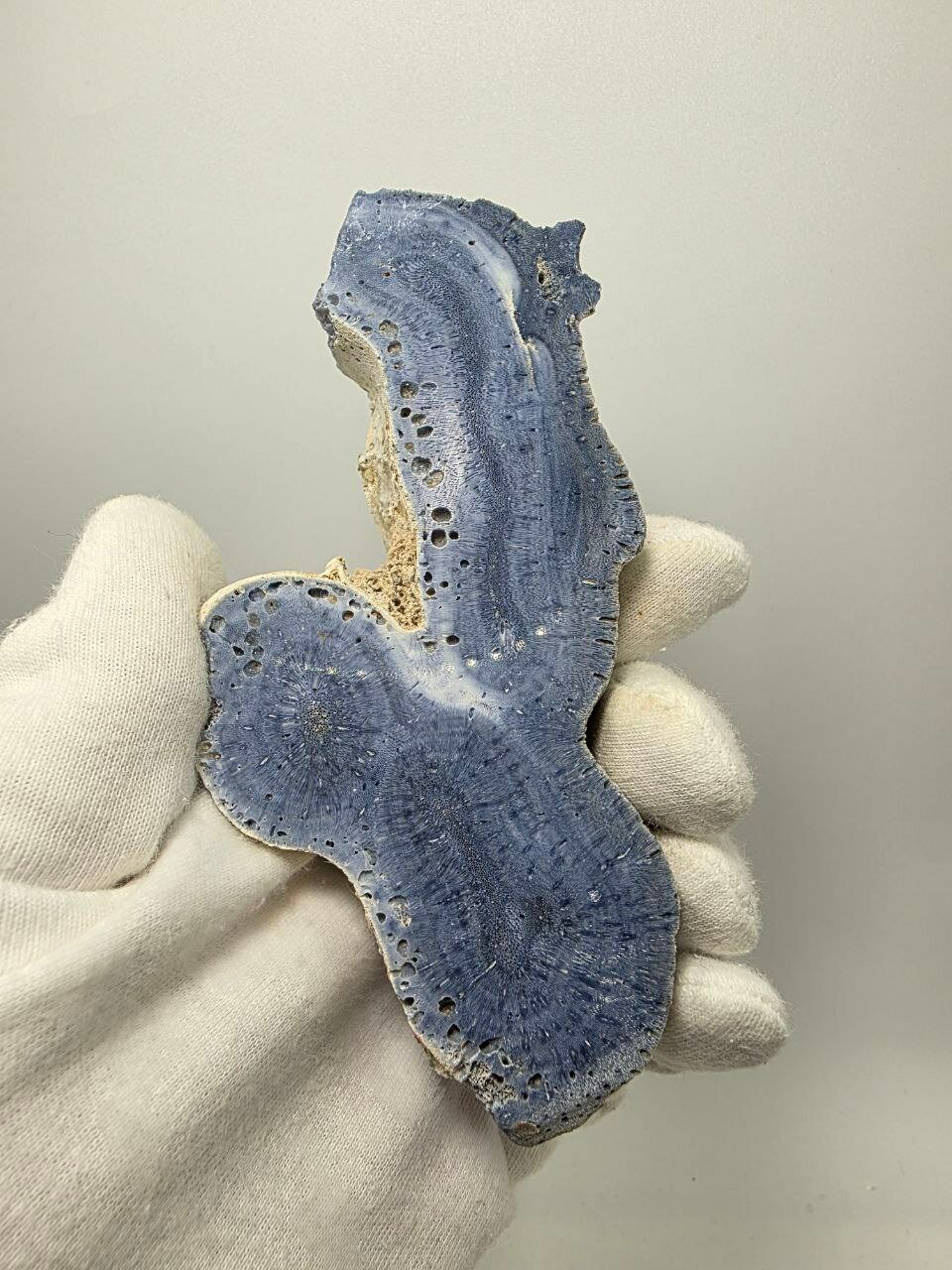 Голубой коралл Акори 119 мм, 123 г.