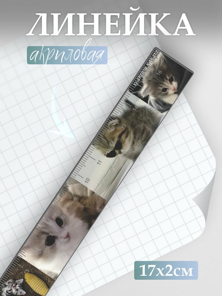 Линейка школьная Cute cats-Милые котики