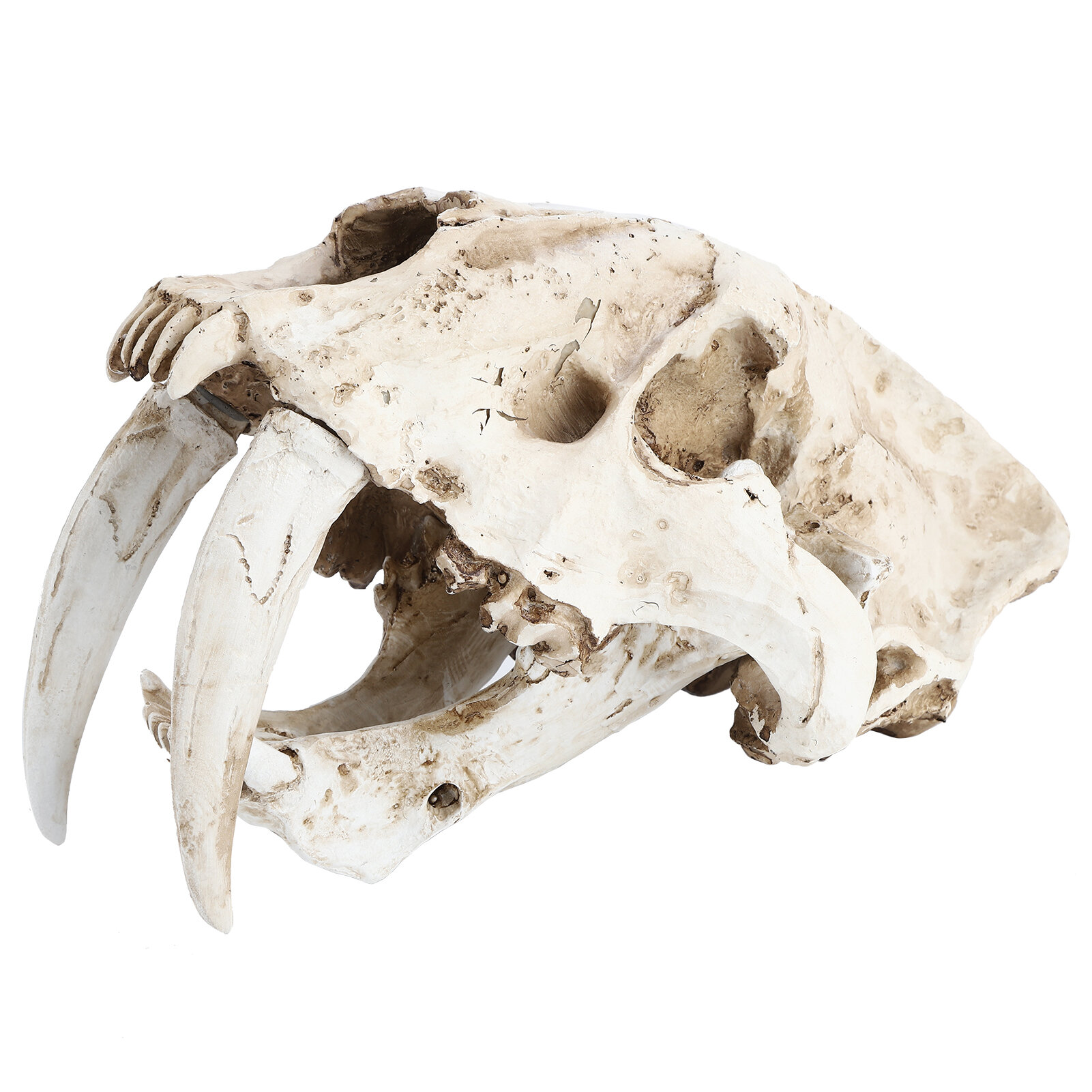 Имитация черепа животного, модель черепа из смолы, модель черепа тигра, украшение для интерьера, реквизит, украшения